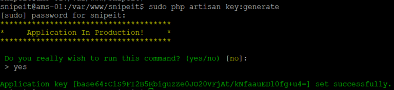 SNIPE-IT Installation on Ubuntu Server (NGINX) - MMDM